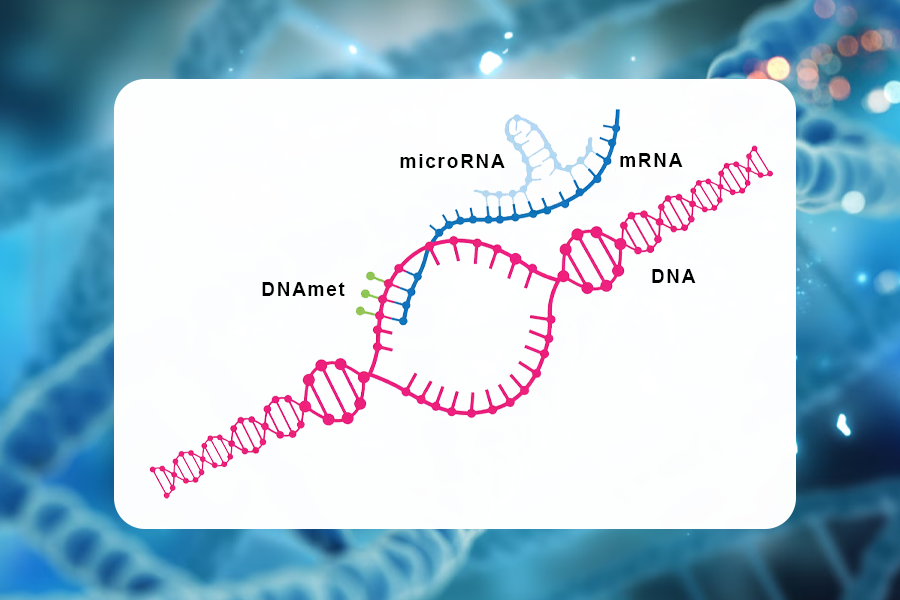 The Science Behind Muscle Retention: How DermaFIT Uses miRNA Technolog ...